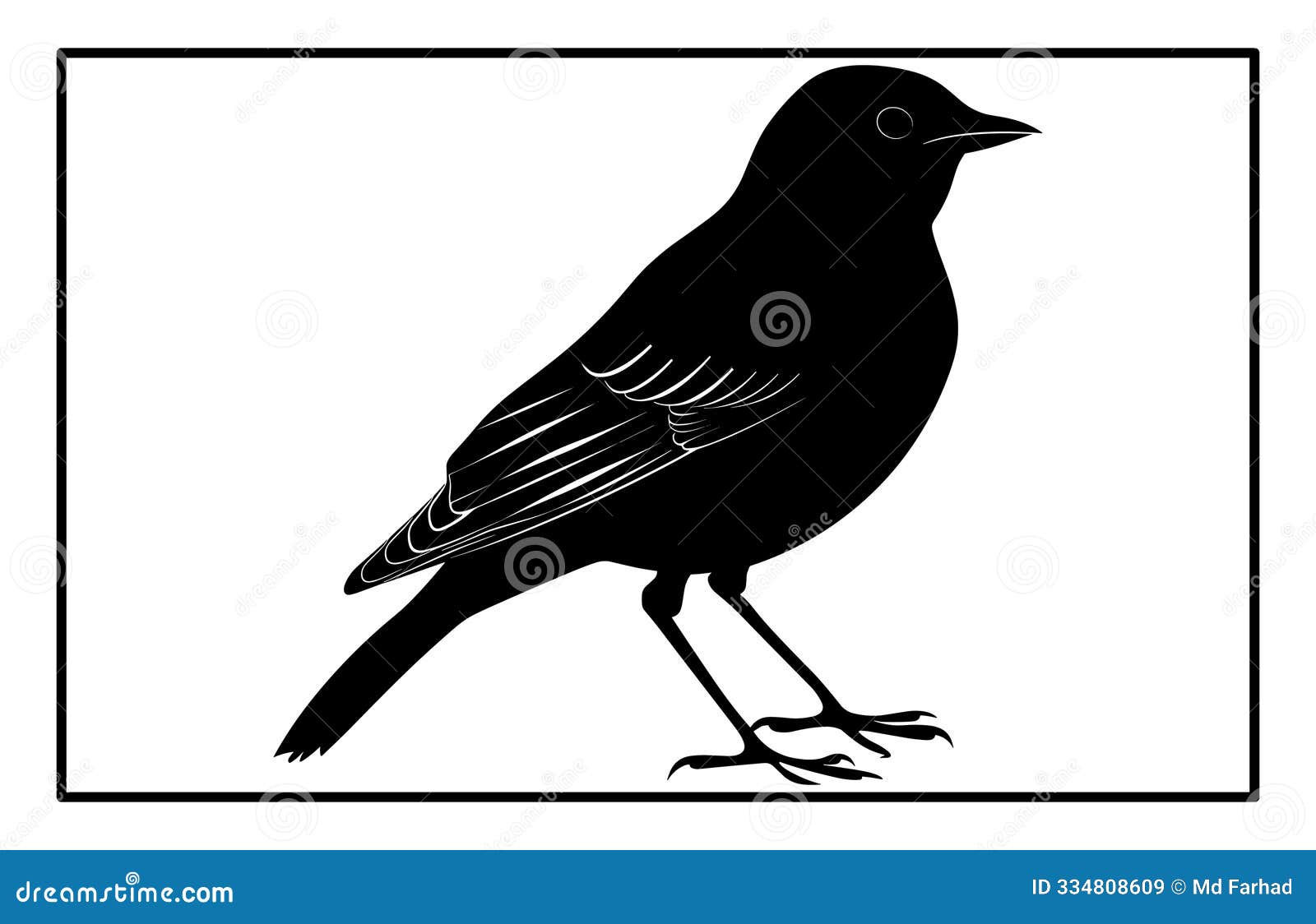 Azure Dollar Bird Silhouette, Azure Dollar Bird Hand Drawing Stock ...