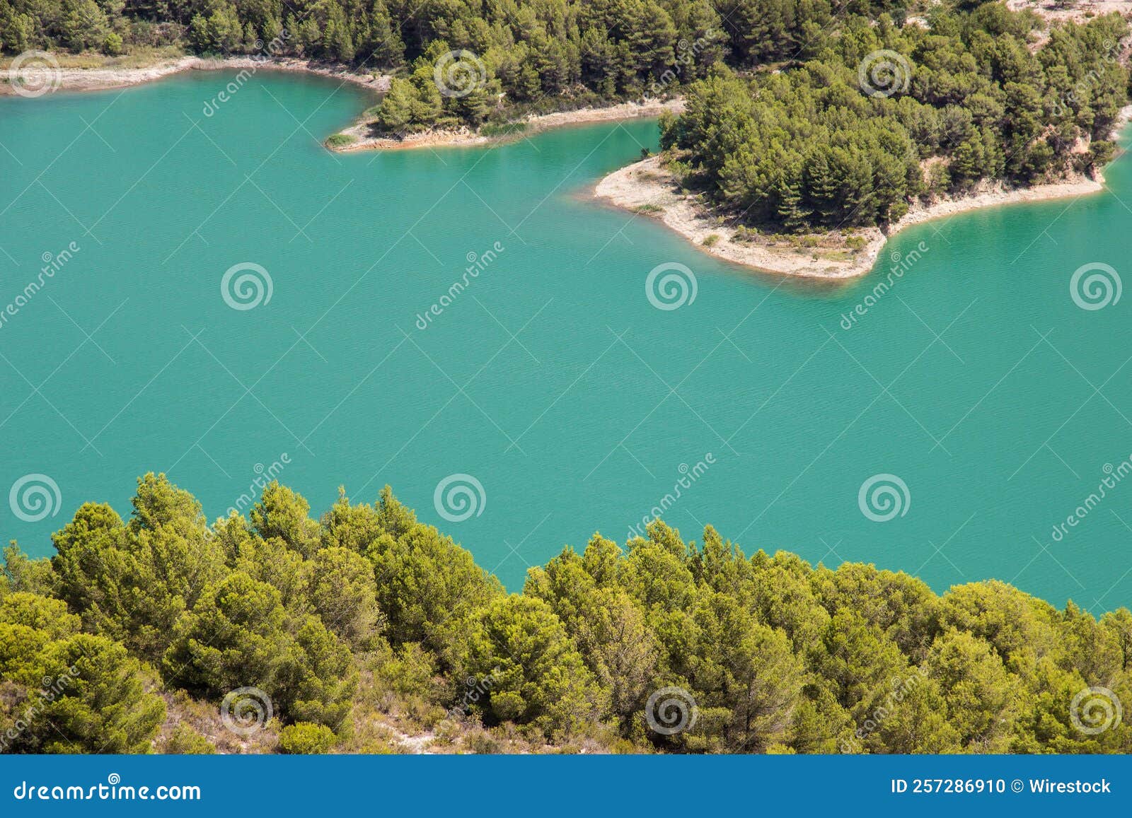 Azure Lake between Forests in the Daytime Stock Photo - Image of ...