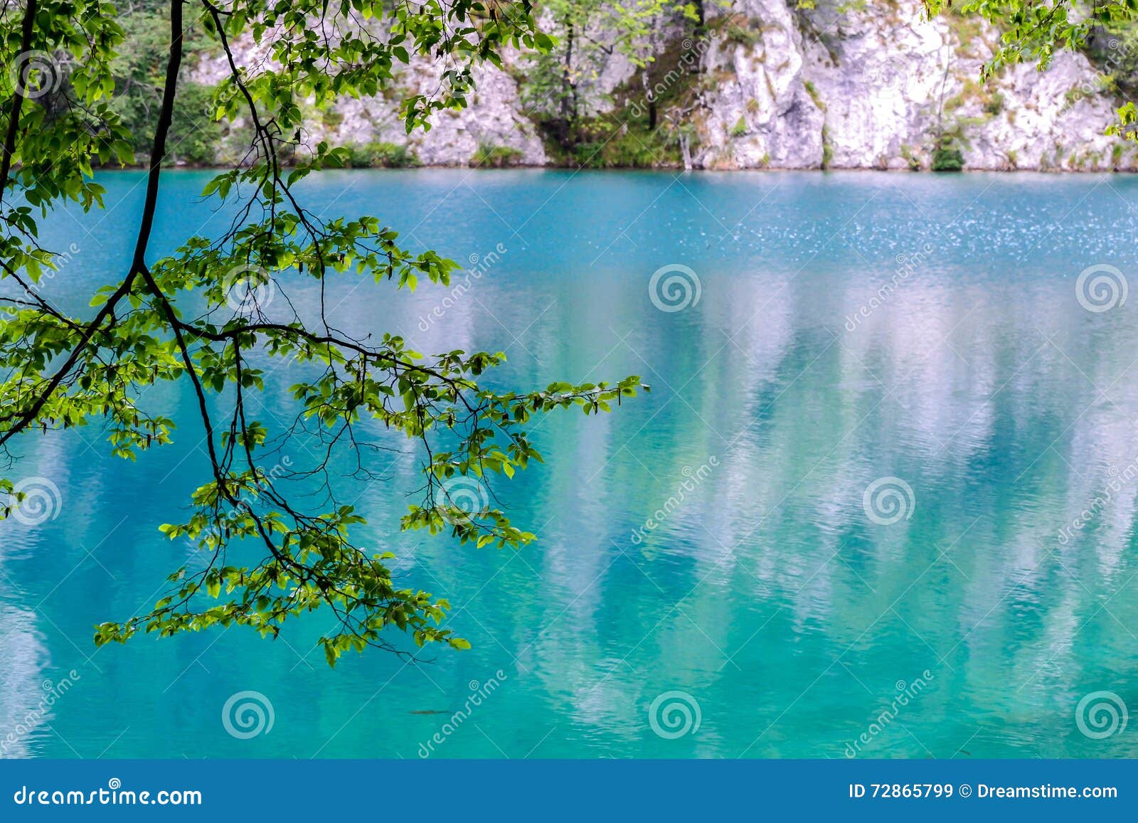 Azure lake stock image. Image of natural, fish, water - 72865799