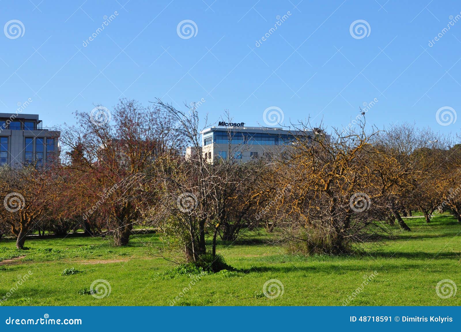 Bâtiment De Microsoft Office Photo éditorial - Image du construction ...