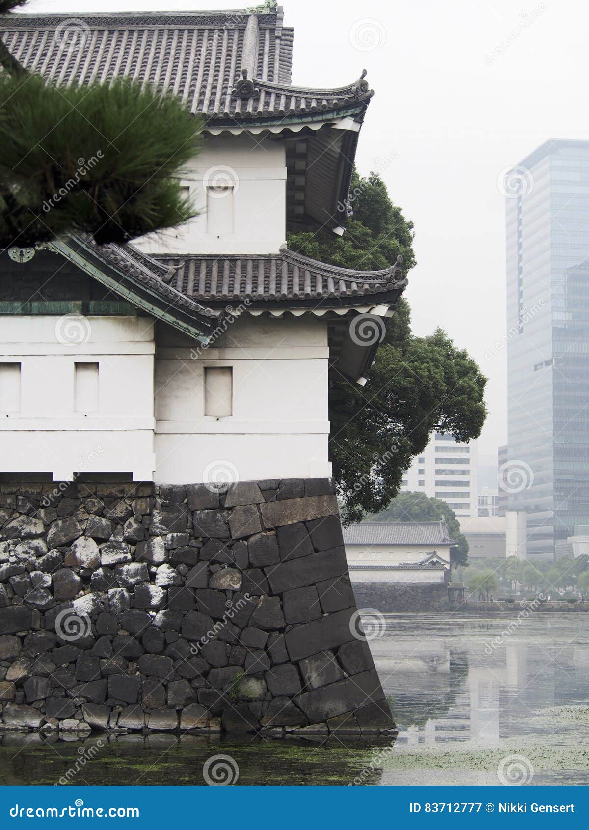 Bâtiment Traditionnel Tokyo Image stock - Image du architecture ...