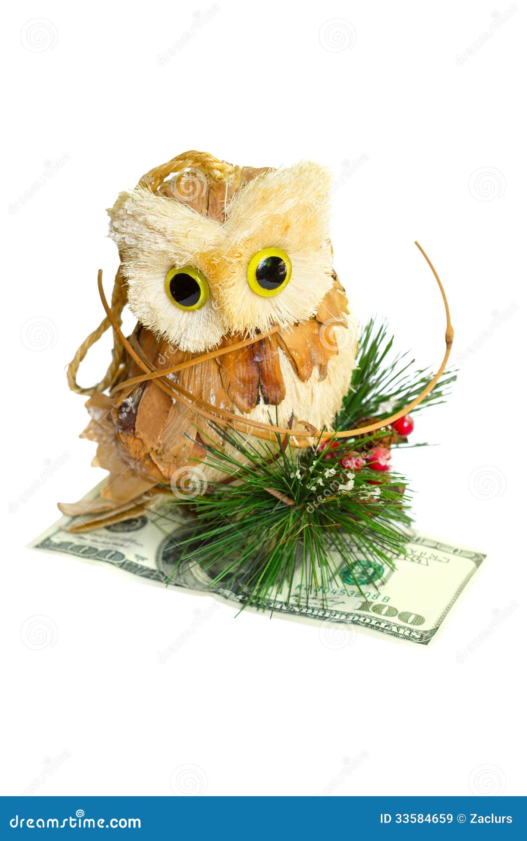 Búho Que Sostiene El Dinero Imagen de archivo - Imagen de finanzas ...