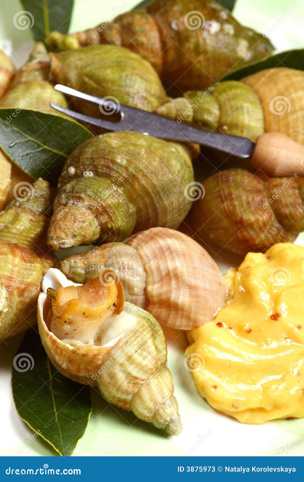 Búzios Ou Caracóis De Mar, Marisco Imagem de Stock - Imagem de ...