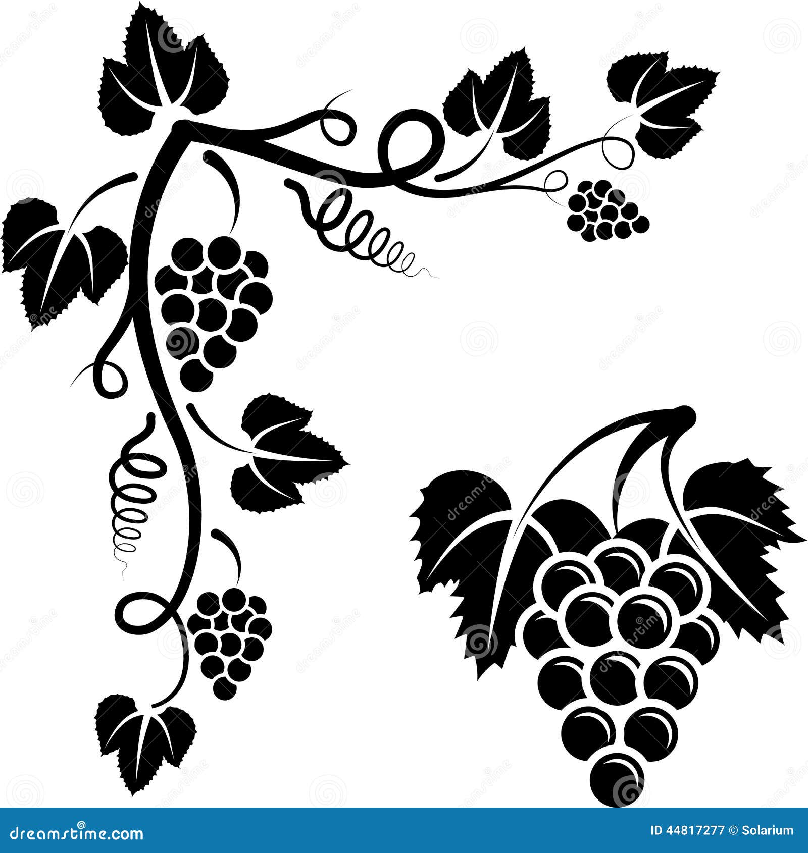 Bündel der Rebe vektor abbildung. Illustration von weinstock - 44817277