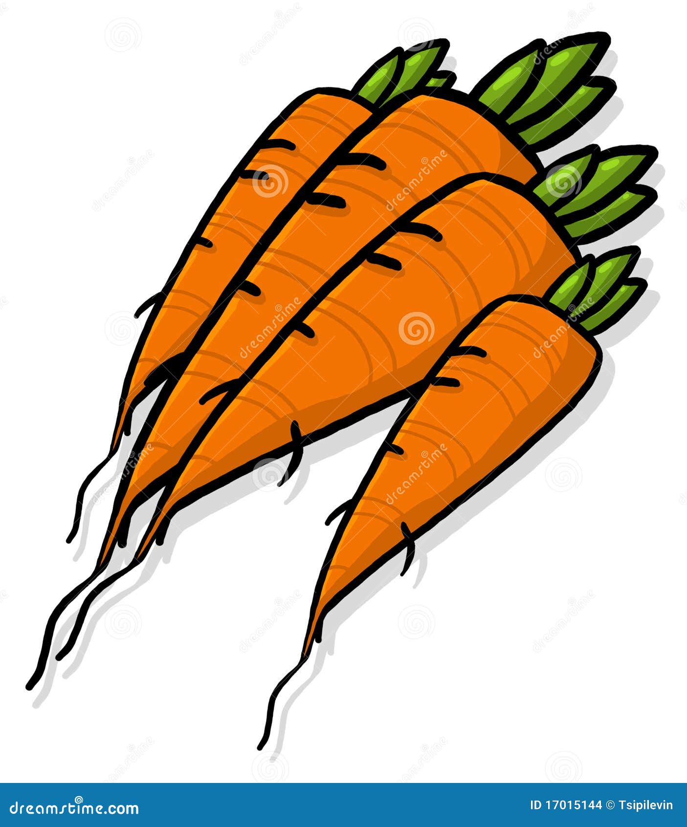 Bündel Karotten stock abbildung. Illustration von gezeichnet - 17015144