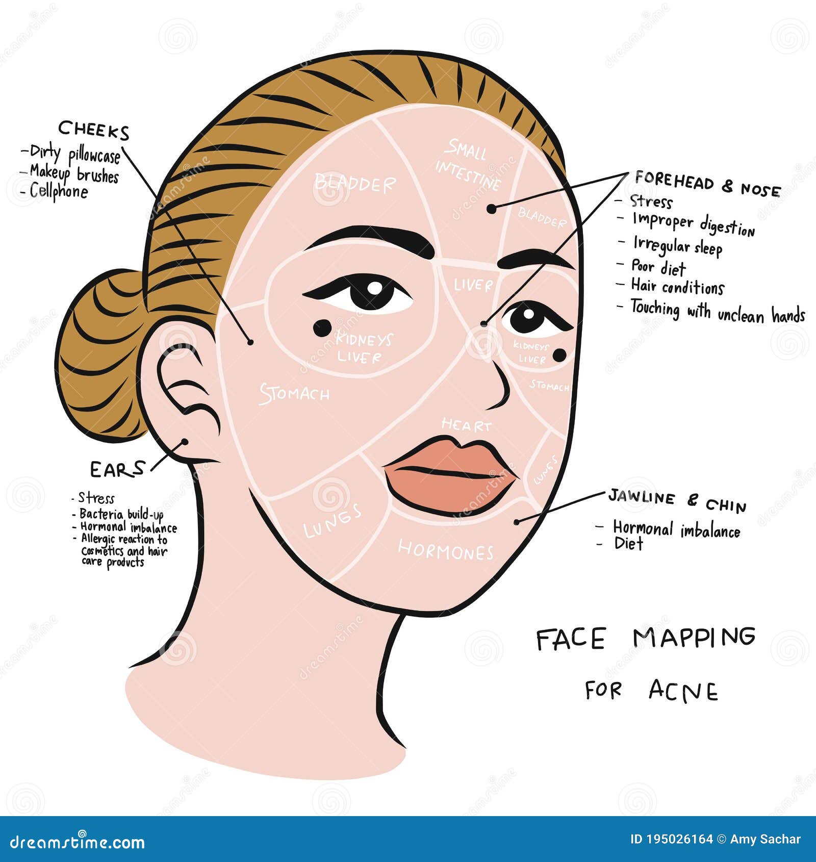Face Mapping Infographics Vector Illustration | CartoonDealer.com ...