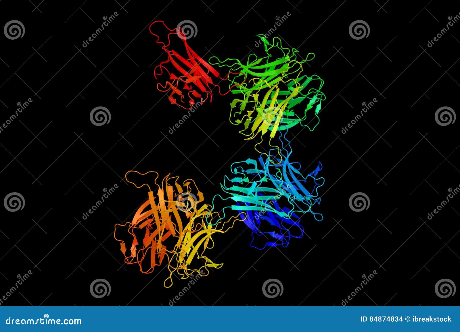 B-cell Activating Factor, Necessary for Maintaining Normal Immunity ...