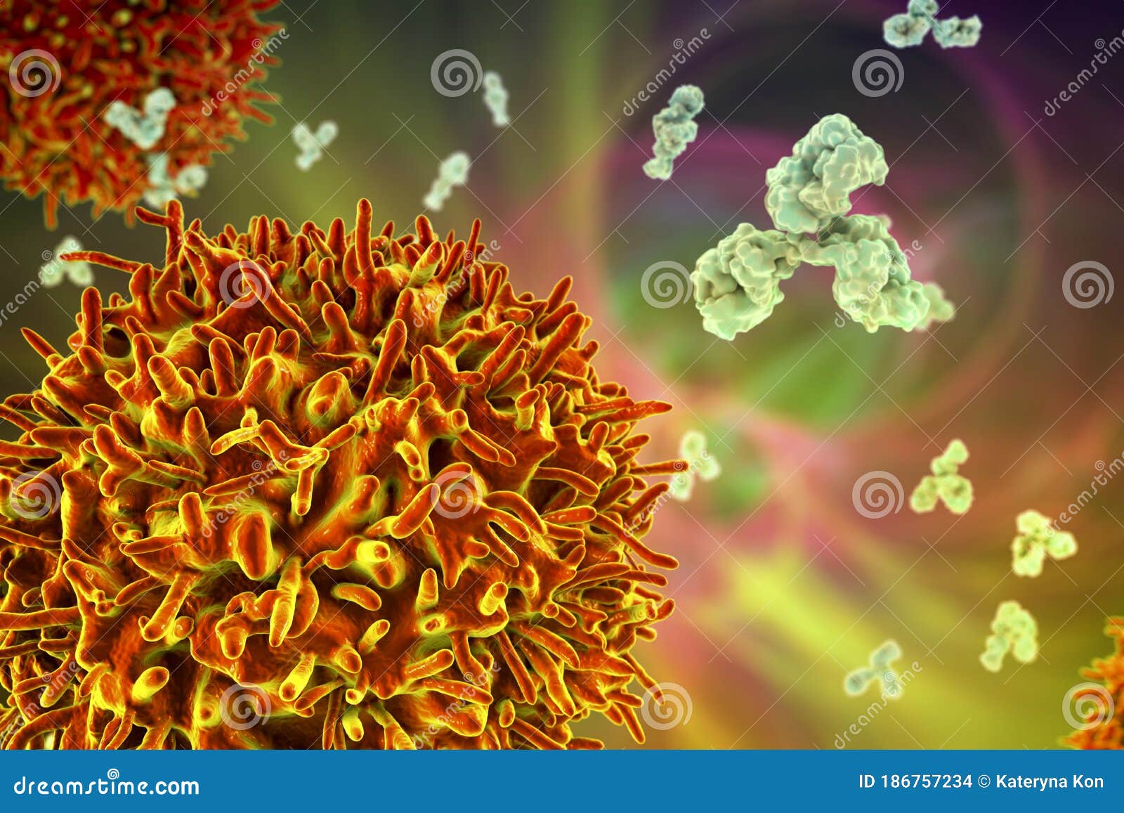 A B Cell And Antibodies Royalty-Free Cartoon | CartoonDealer.com #145661990