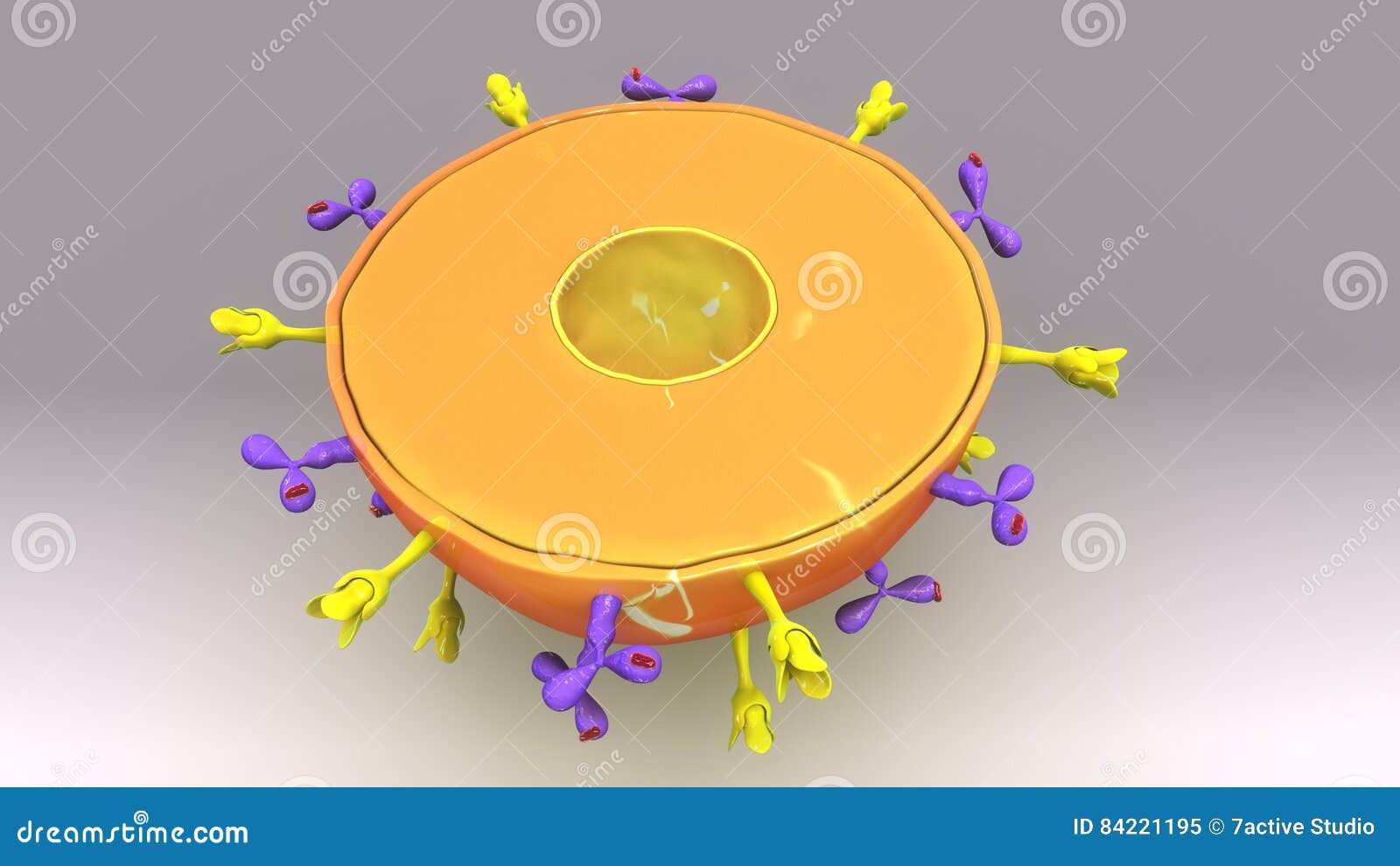 B Cell stock illustration. Illustration of leukocyte - 84221195