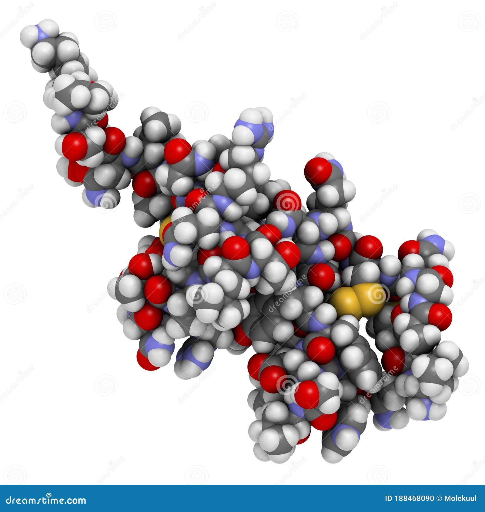 B-cell Maturation Antigen (BCMA, Extracellular Domain) Protein. 3D ...