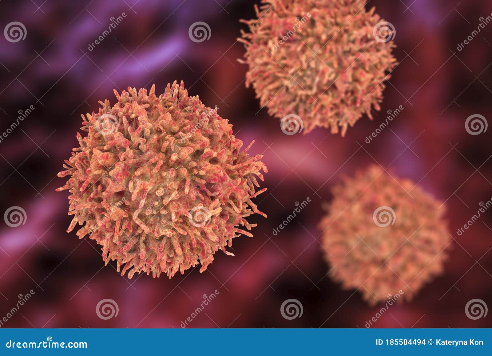 B-lymphocyte, or B-cell stock illustration. Illustration of microbe ...