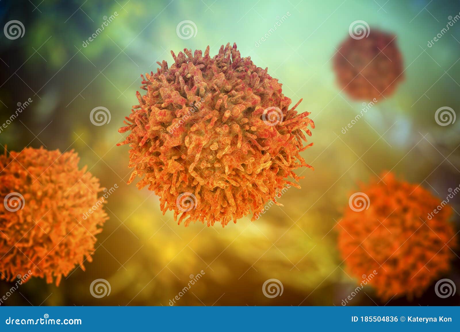 B-lymphocyte, or B-cell stock illustration. Illustration of normal ...