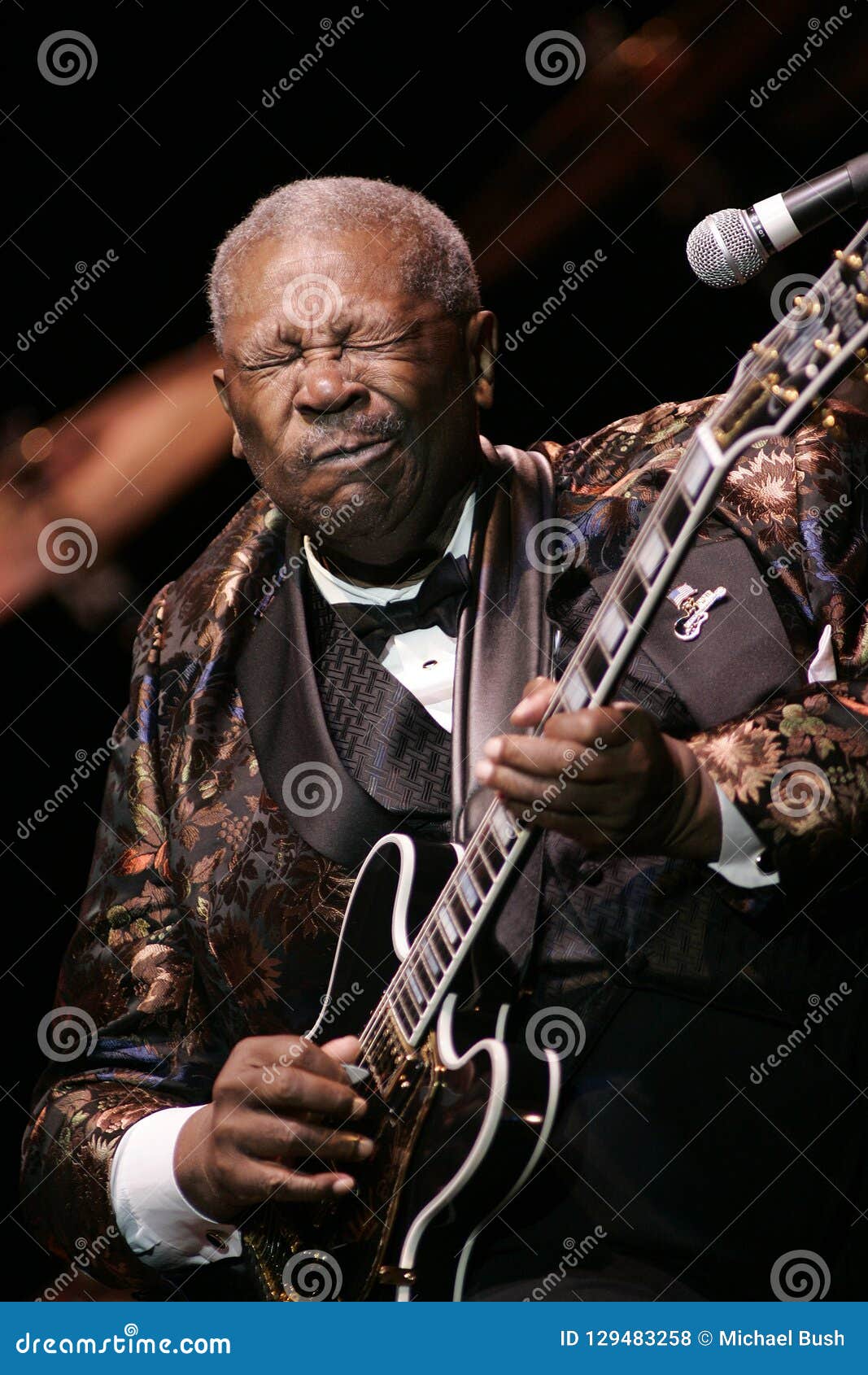 B B Rey Performs En Concierto Foto de archivo editorial - Imagen de ...