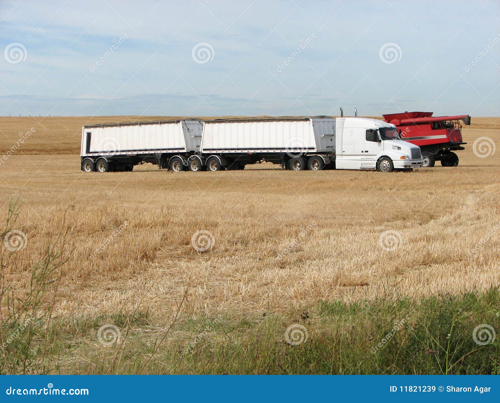B-Train Big Truck and Combine in Field Stock Image - Image of drop ...