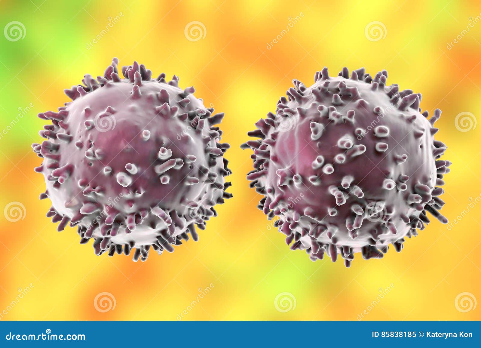 B- Y T-linfocitos Células Inmunes Stock de ilustración - Ilustración de ...