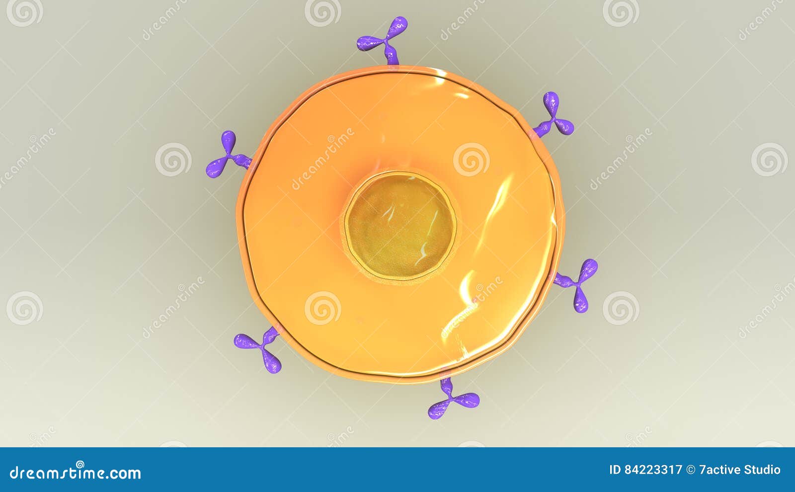 B-Zelle stockbild. Bild von diagramm, plasma, antigen - 84223317