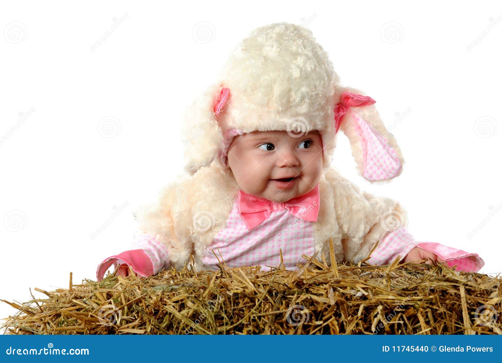 Baa Baa Baby stock photo. Image of gingham, sheep, costume - 11745440