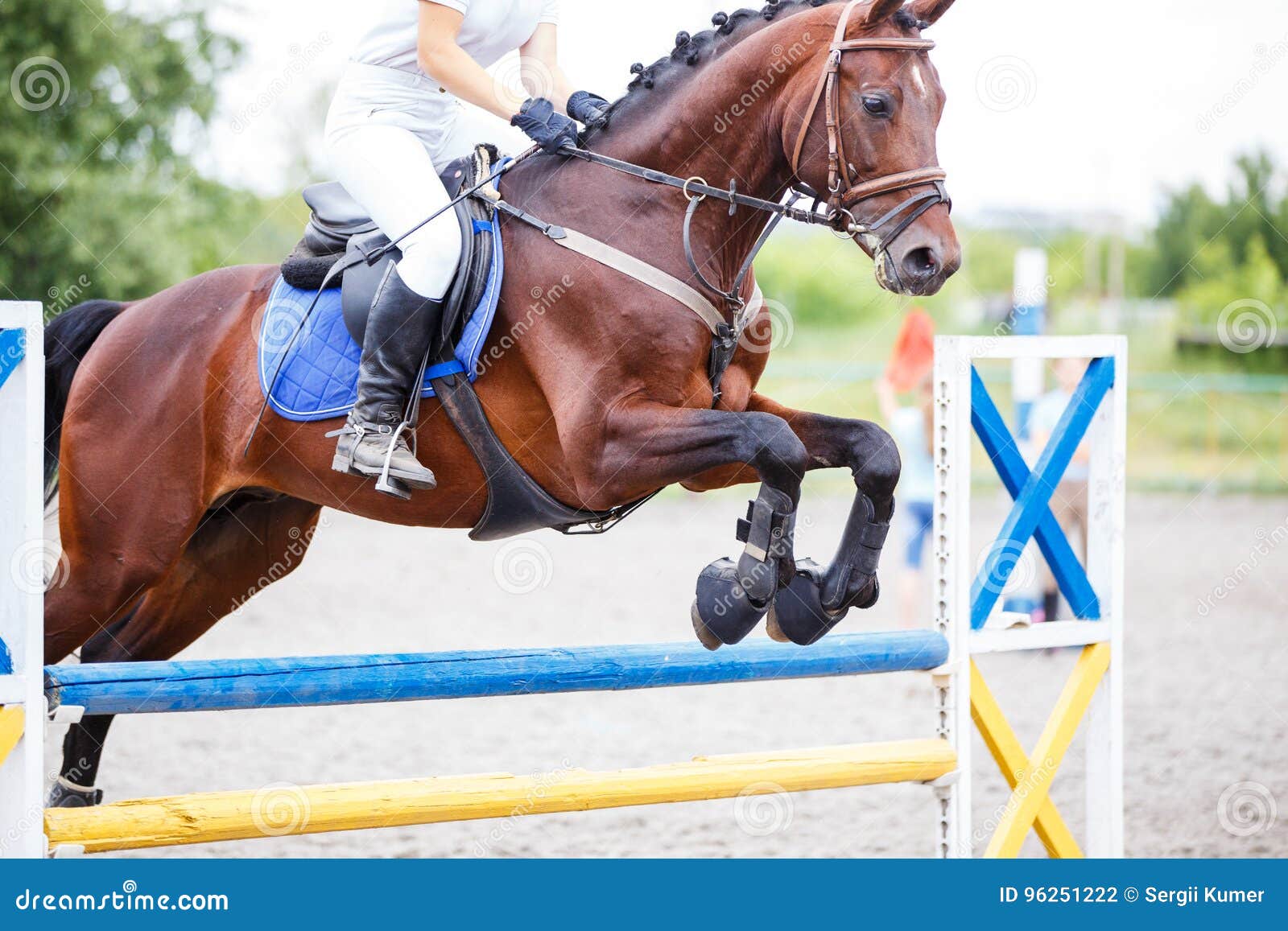 Baaipaard Met Ruiter Het Springen Over Hindernis Stock Foto - Image of ...