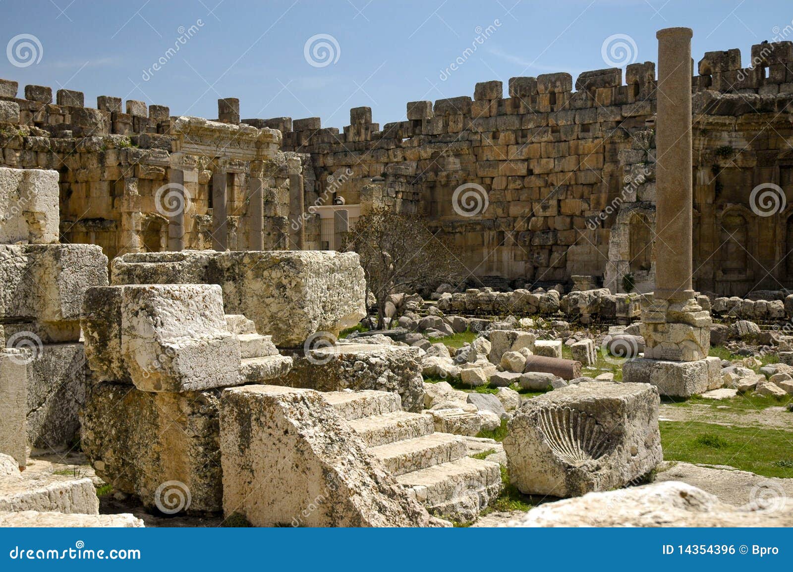 Baalbek, Bekaa Valley, Lebanon Stock Photo - Image of dionysus, shell ...