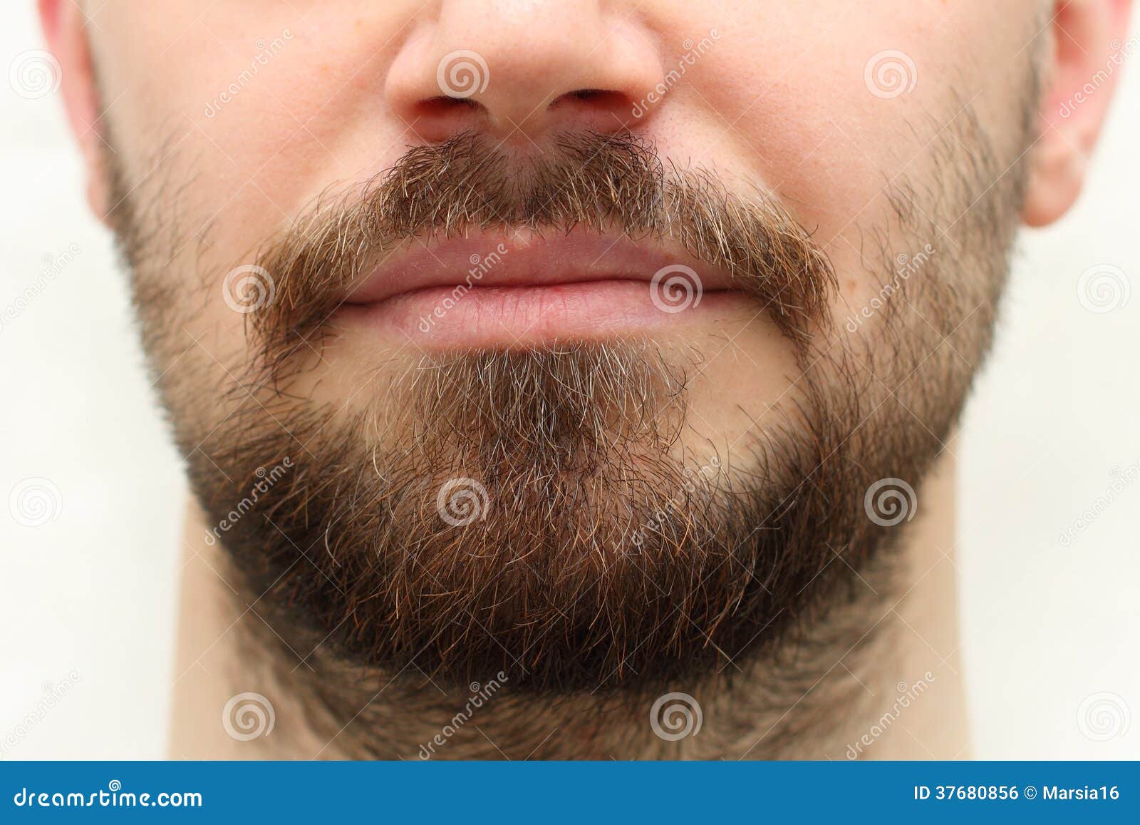 Baard en Snor stock foto. Image of harig, lichaam, schoon - 37680856