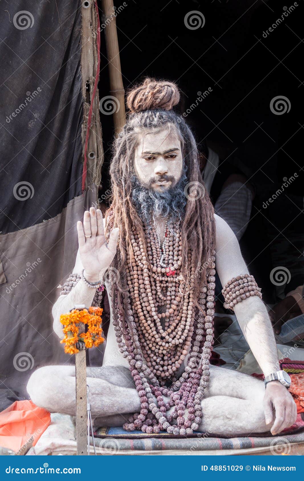 Baba De Naga Chez Kumbha Mela Image stock éditorial - Image du cendre ...