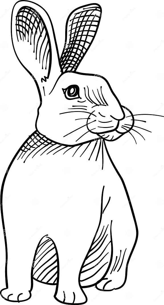 Babbit do bebê ilustração do vetor. Ilustração de festa - 95524270