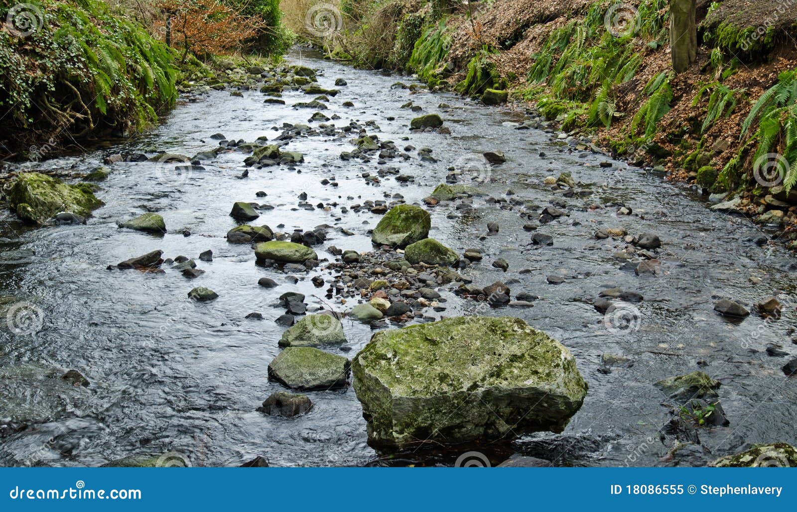 Babbling Brook stock image. Image of shallow, brook, waters - 18086555