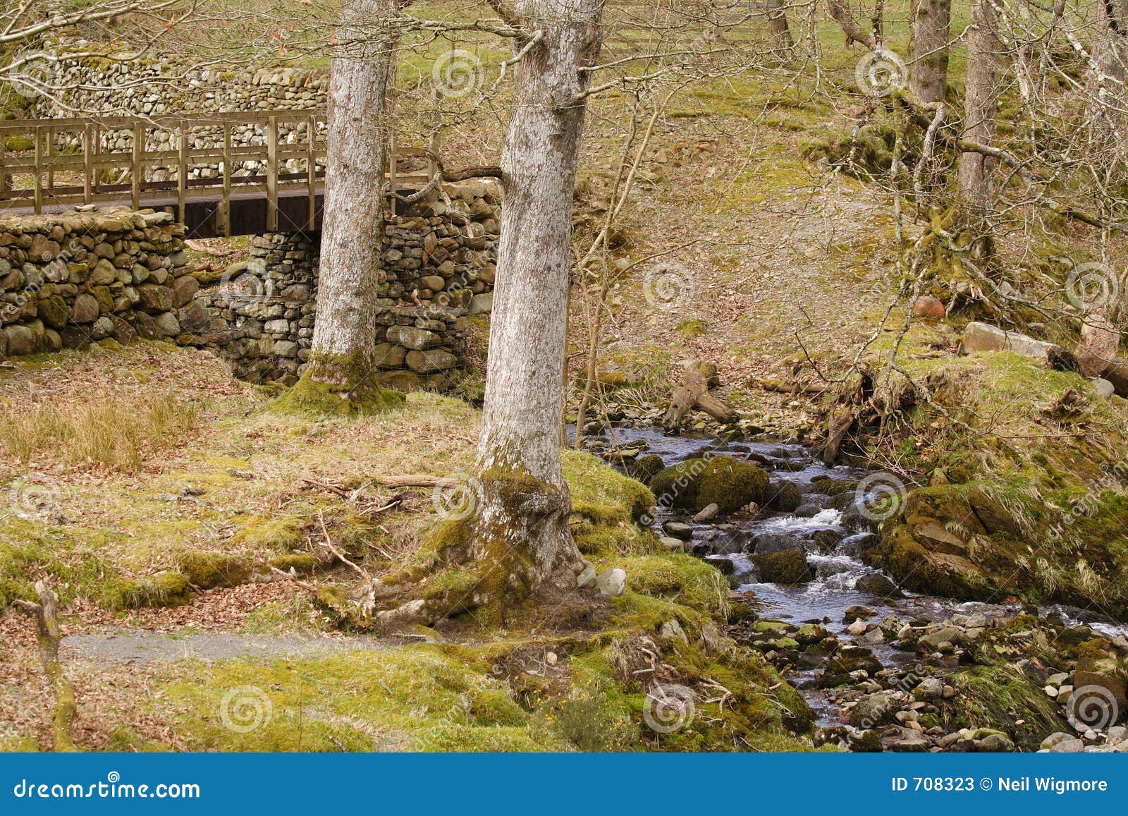 Babbling Brook stock image. Image of autumn, stream, frothing - 708323