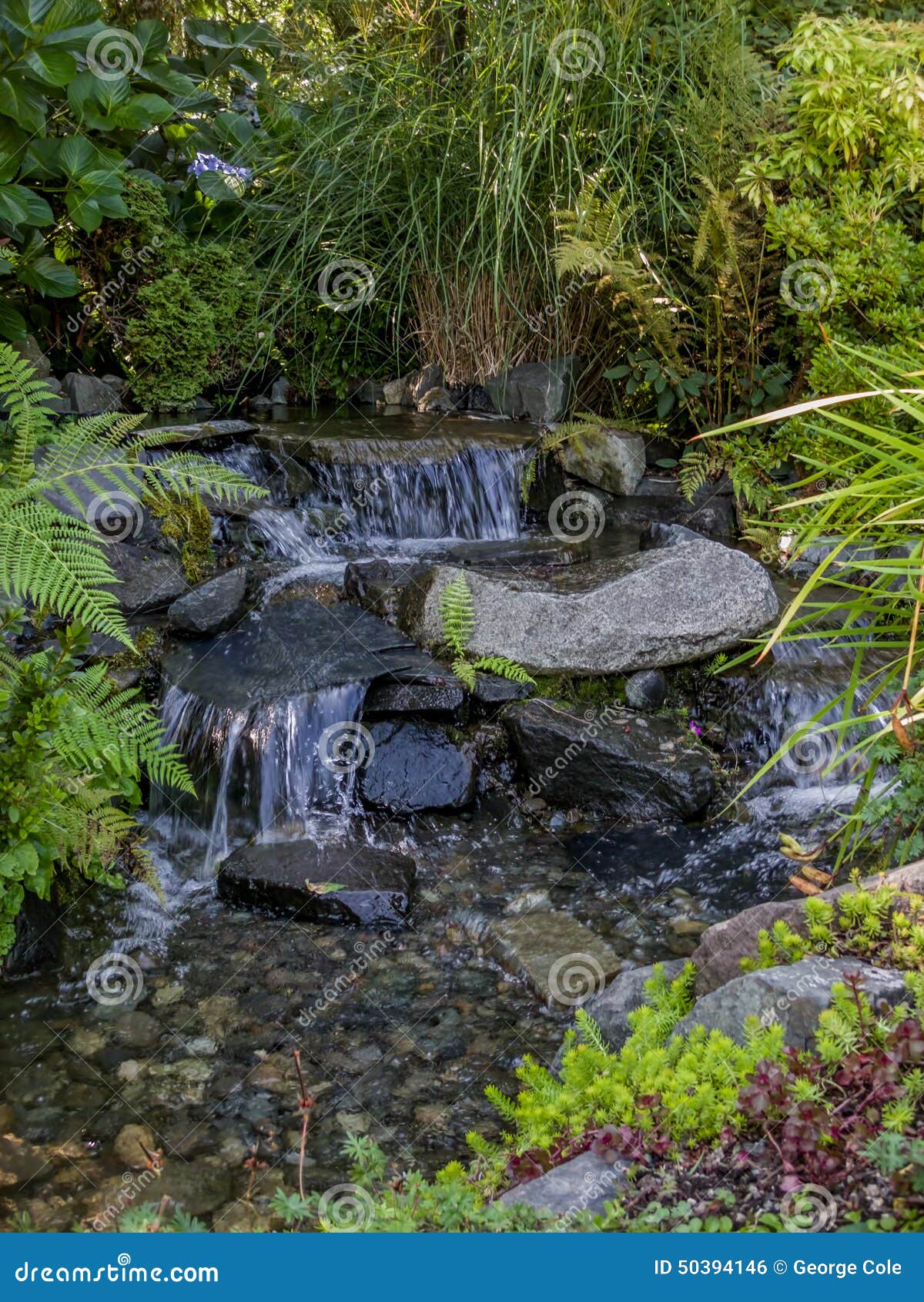 Babbling Brook Flows Over Stone Stock Photo - Image of rocky, sparkling ...