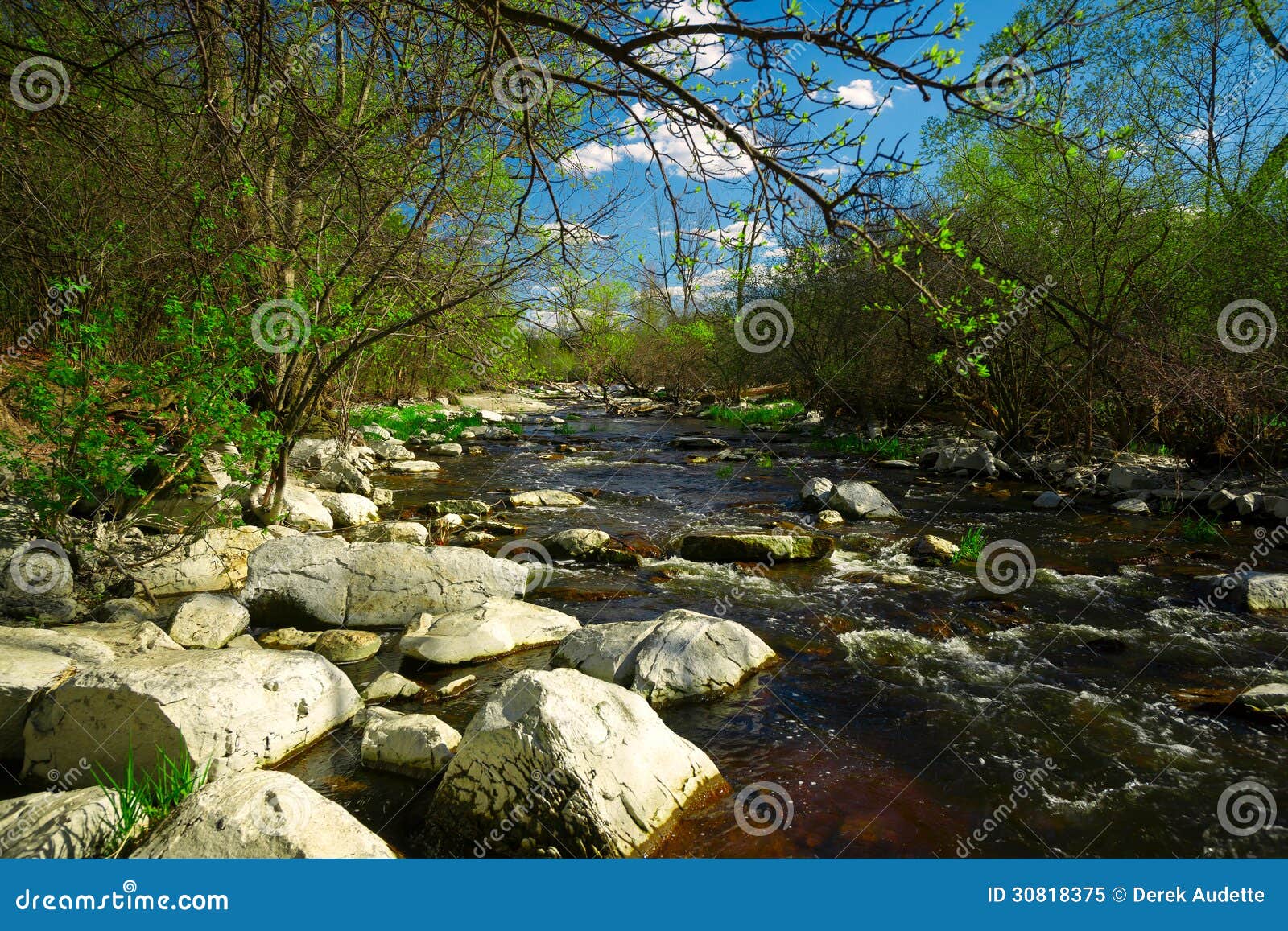 Babbling Brook in the Forest Stock Image - Image of leaves, forest ...