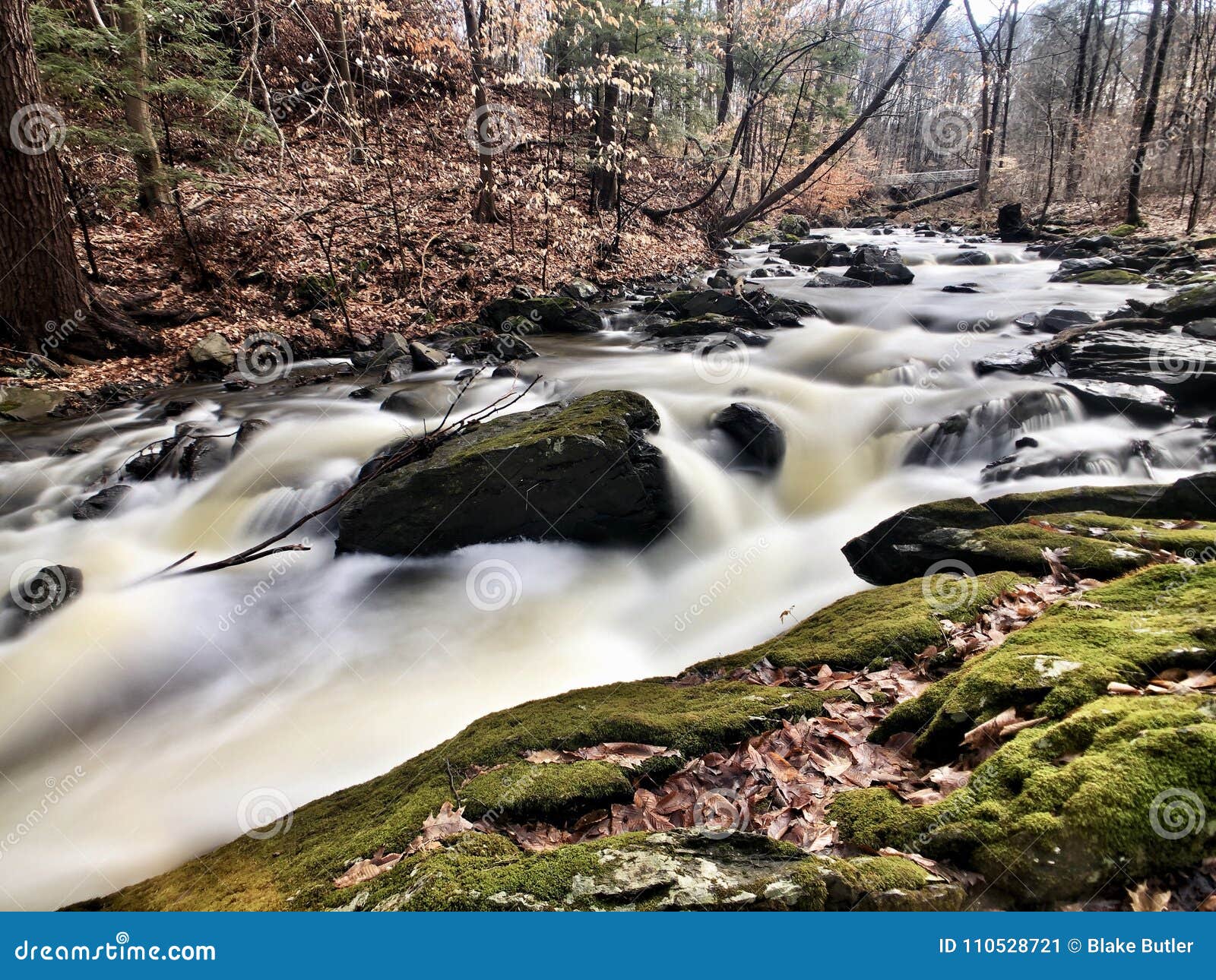A babbling brook stock image. Image of early, spring - 110528721