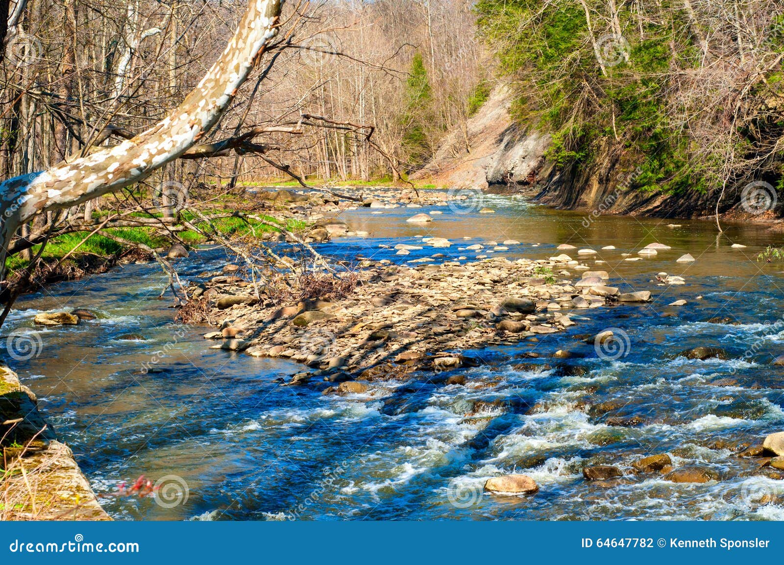 Babbling brook stock photo. Image of season, creek, placid - 64647782