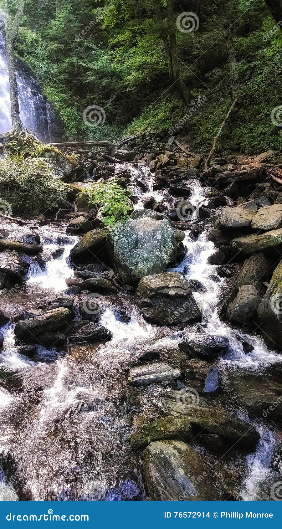 Babbling brook stock photo. Image of babbling, relaxing - 76572914