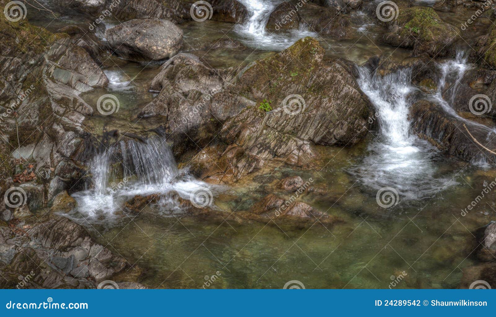 Babbling brook stream stock photo. Image of water, national - 24289542