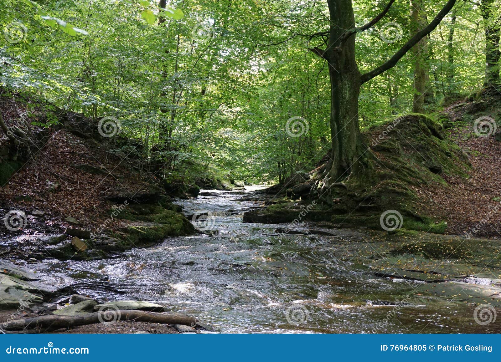 Babbling brook stock image. Image of morning, colourful - 76964805