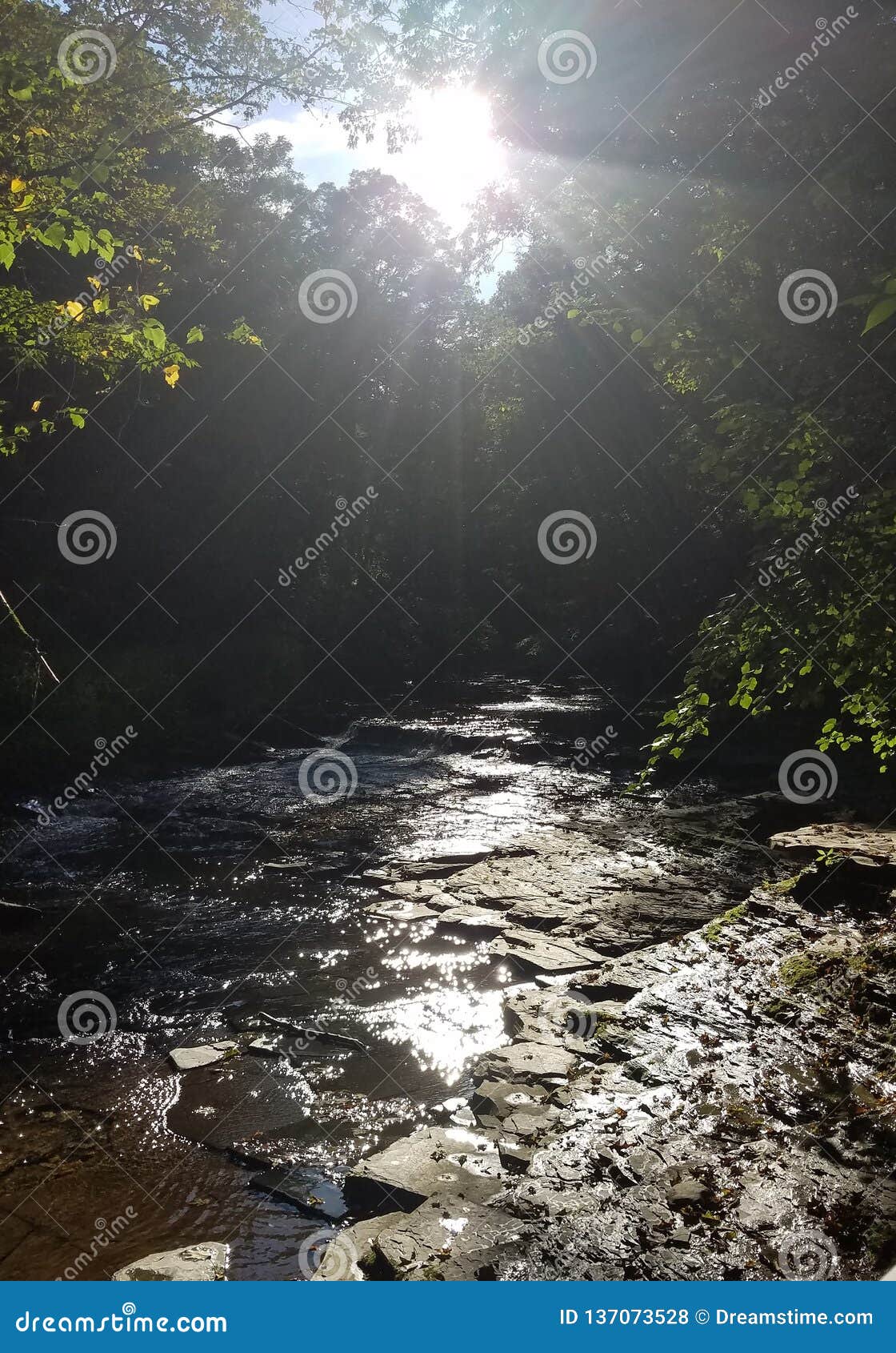 Babbling Brook Warmed by Sun Stock Photo - Image of babbling, water ...