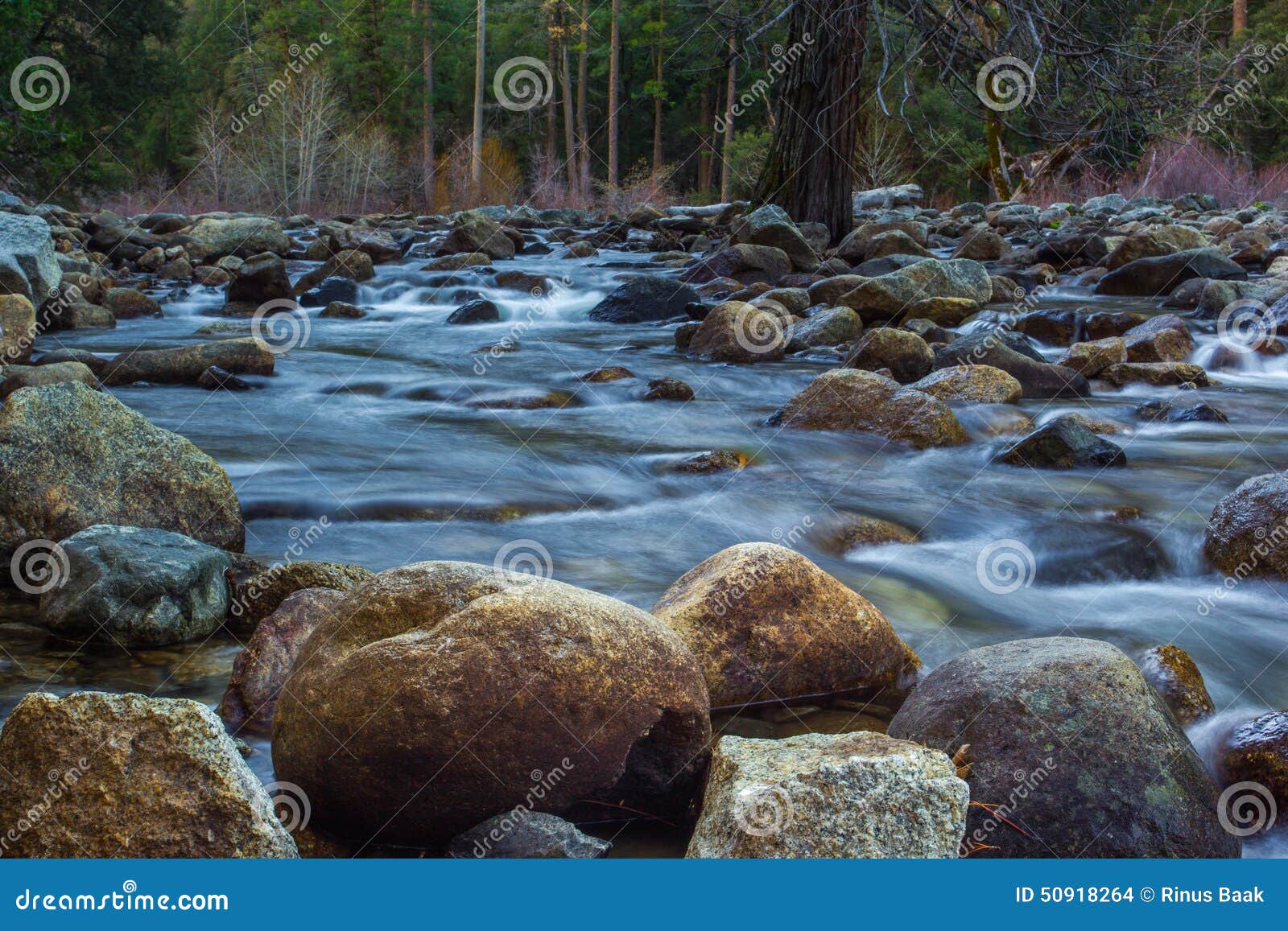 Babbling Brook stock photo. Image of rapids, babble, streambed - 50918264