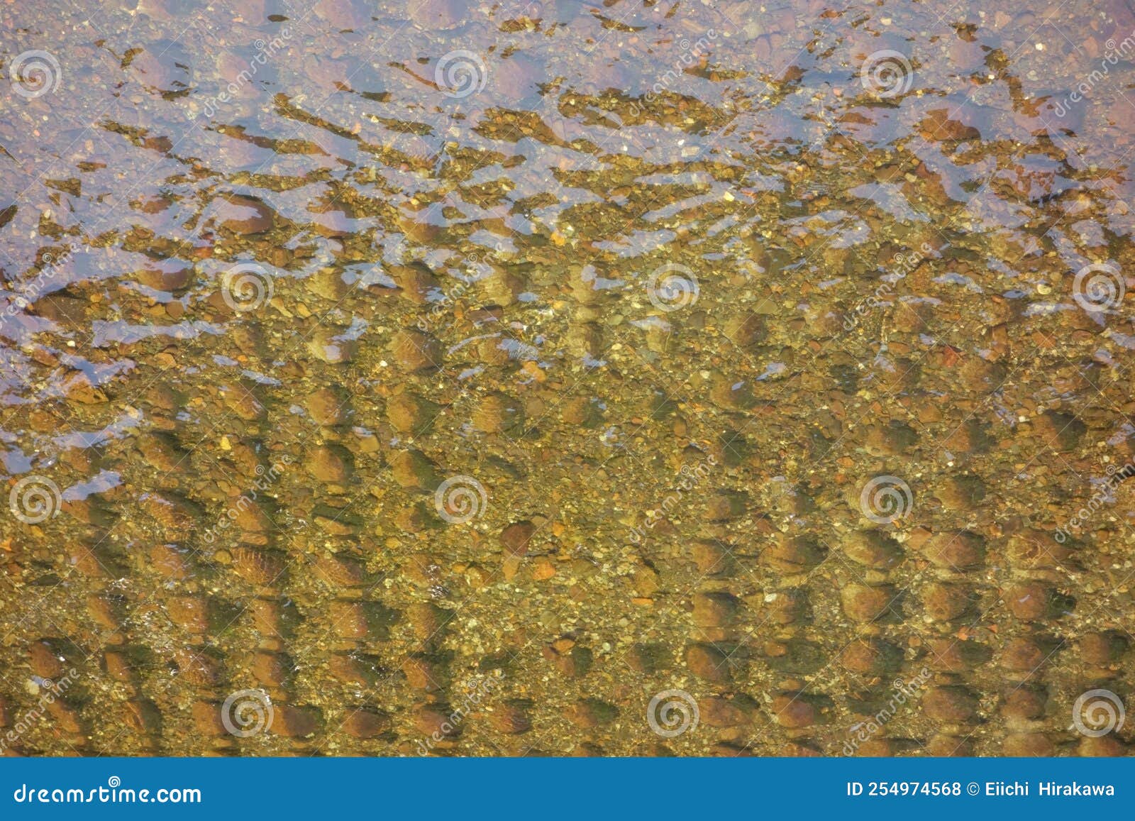 Babbling Brook, Water Surface Pattern Grunge Texture Background Stock ...