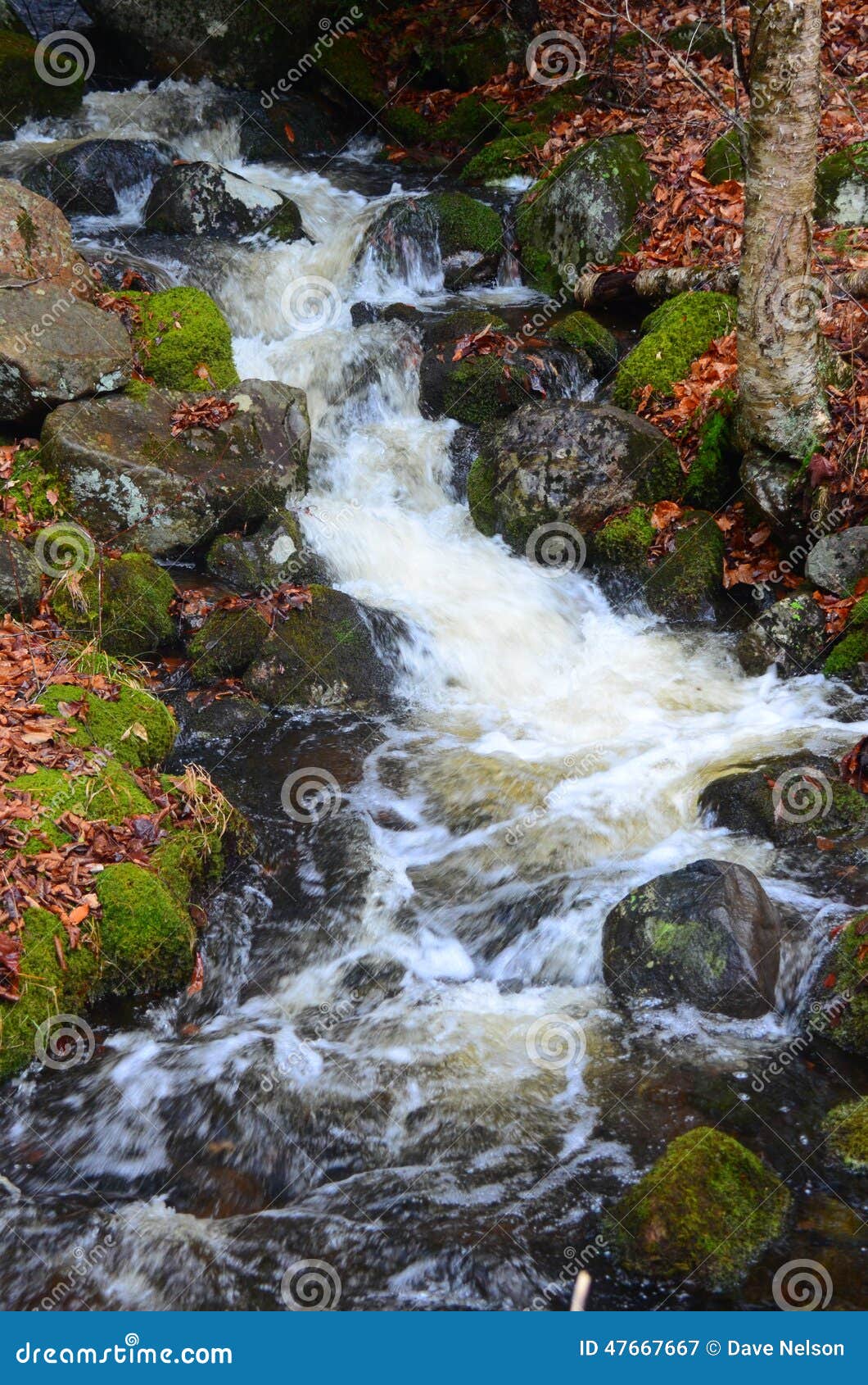 Babbling brook waterfall stock image. Image of stream - 47667667