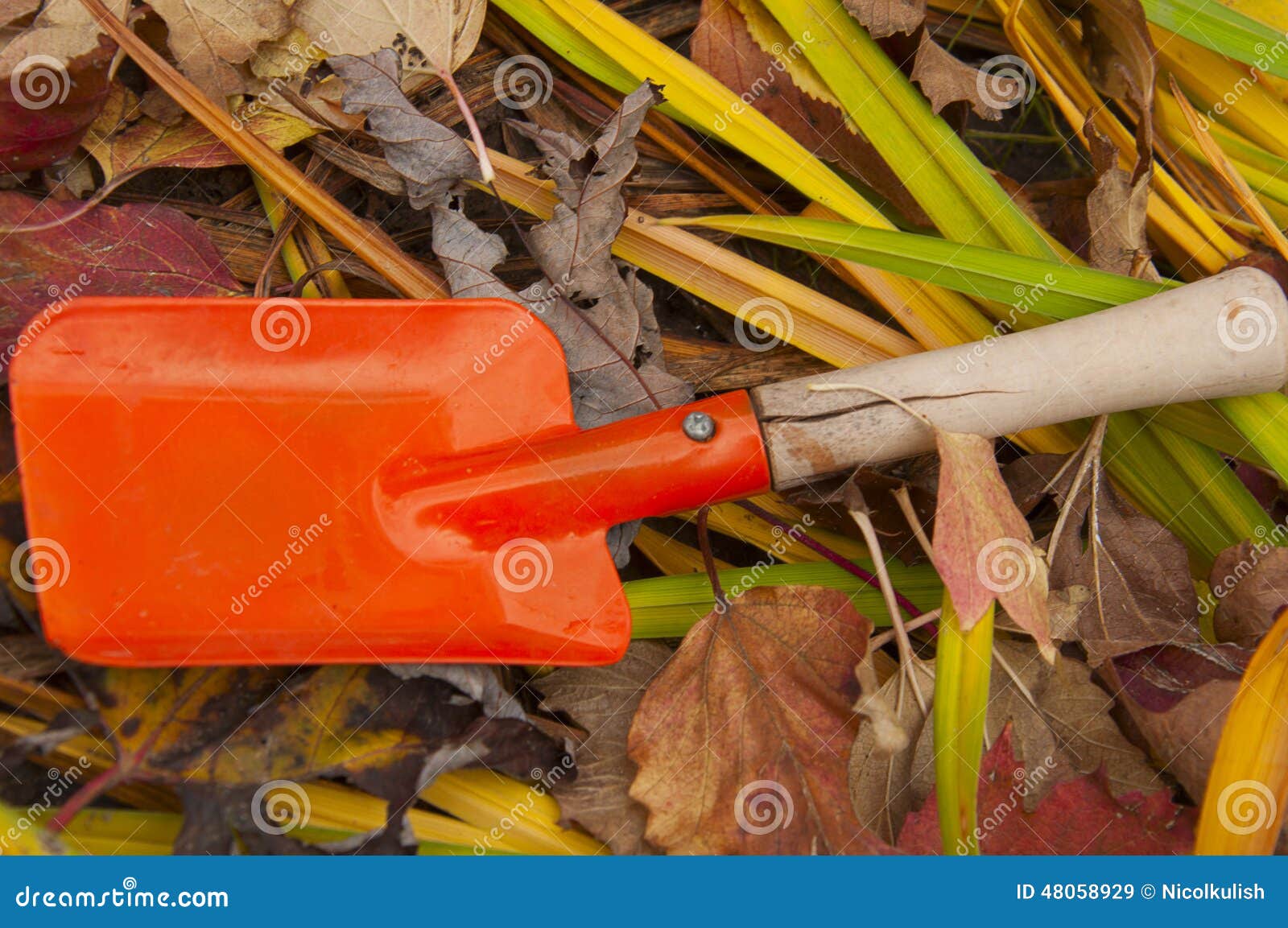 Babe Garden Spade in Orange Color Stock Image - Image of hobbies, fall ...