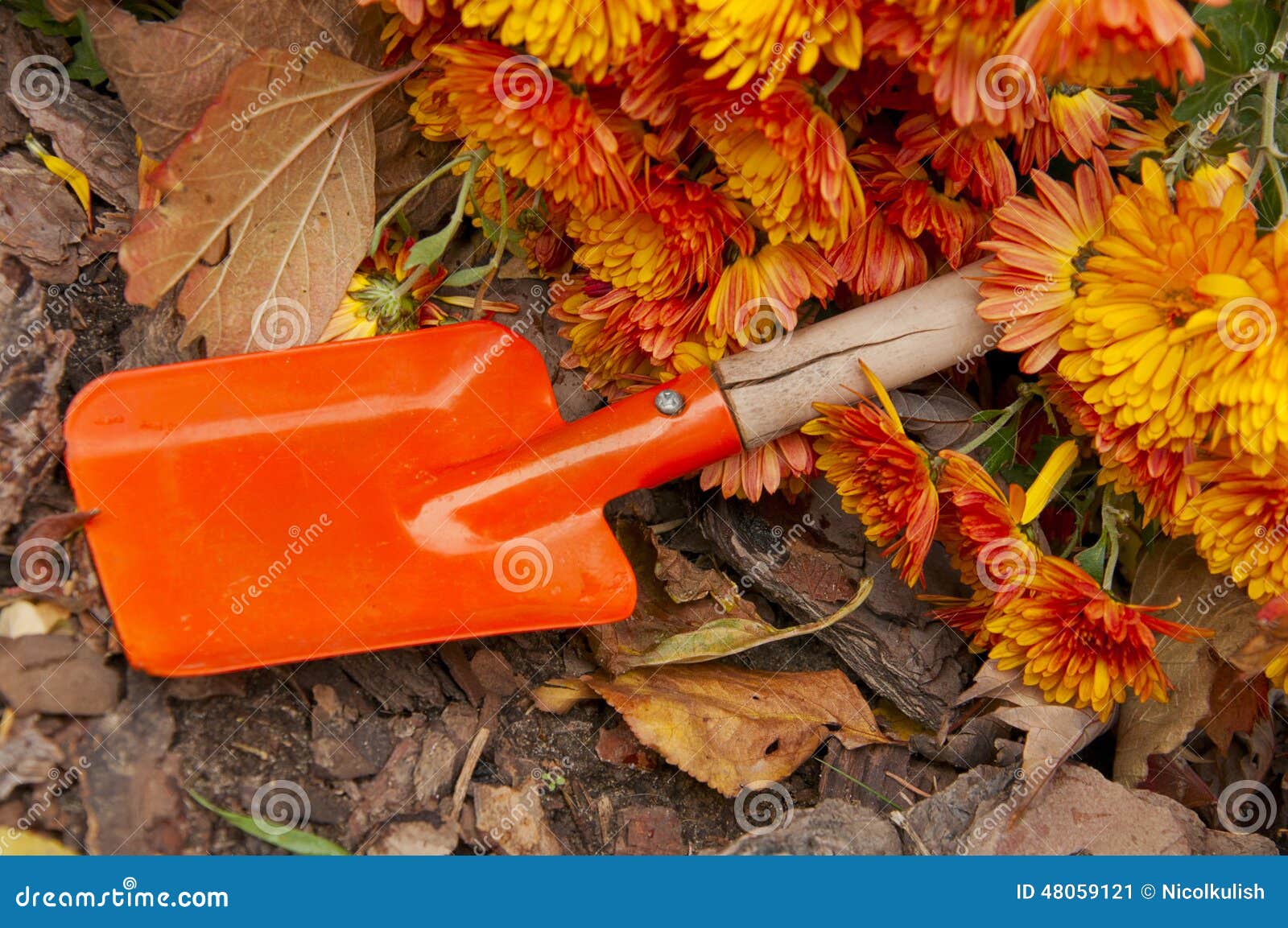 Babe garden spade stock image. Image of composition, spade - 48059121