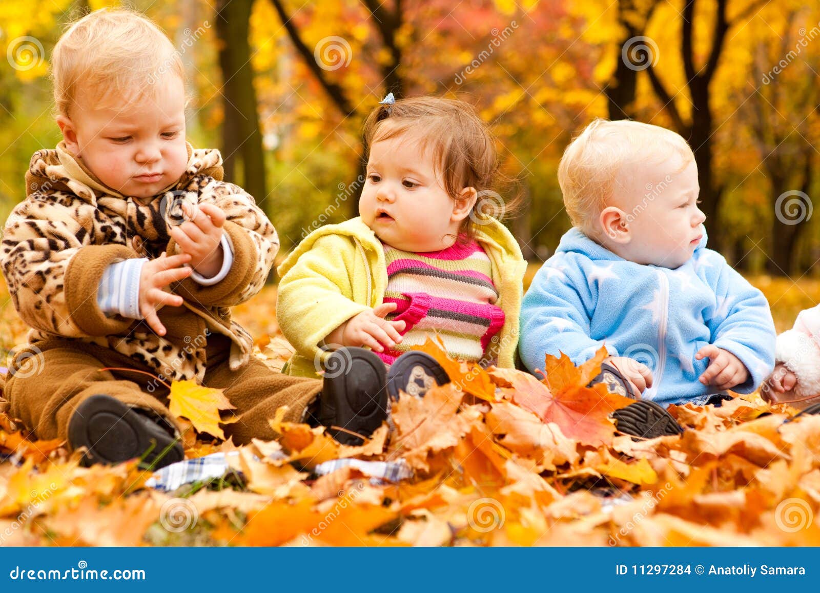 Babies in autumn park stock photo. Image of curious, group - 11297284