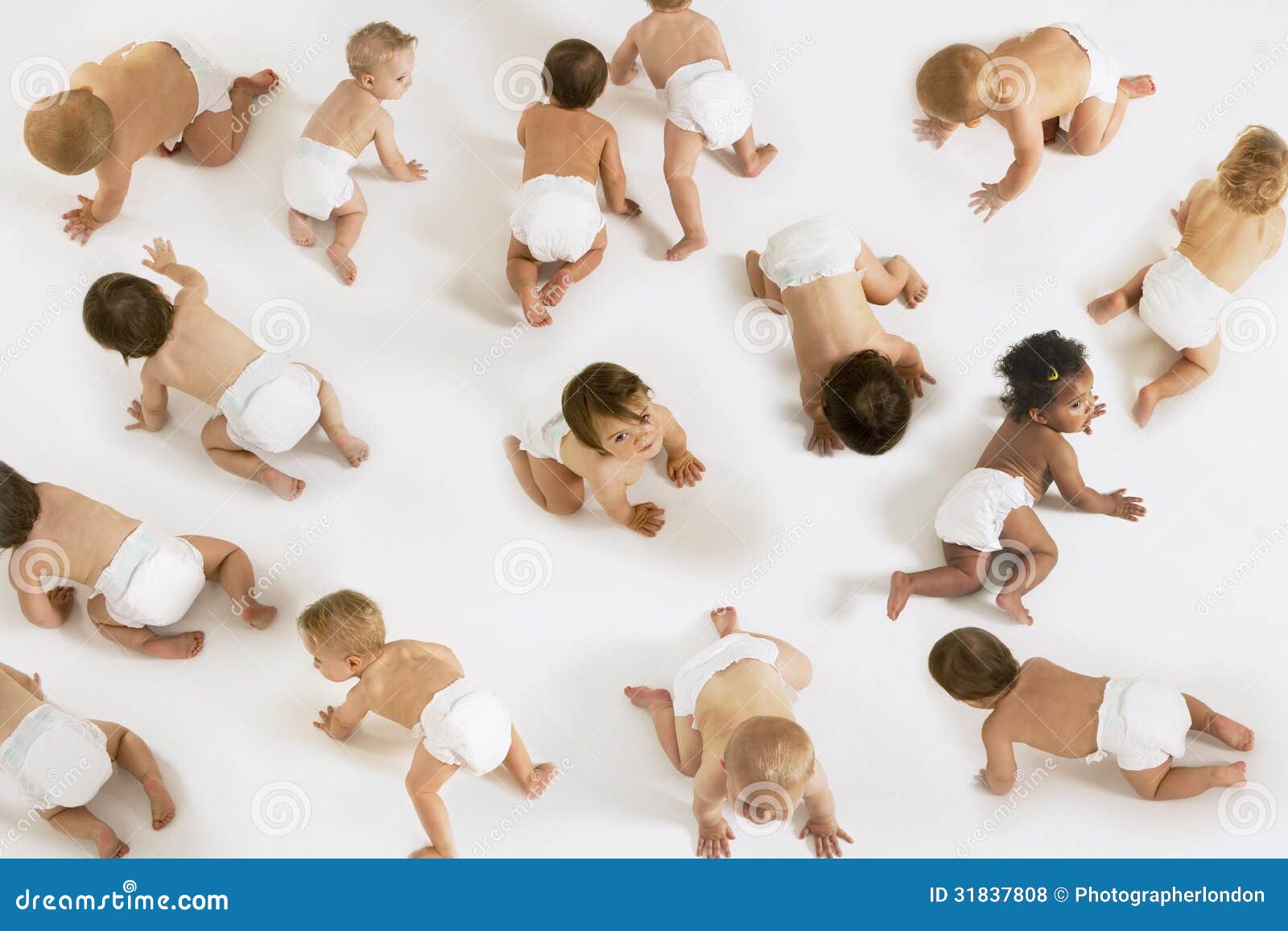 Babies Crawling on White Background Stock Photo - Image of girl ...