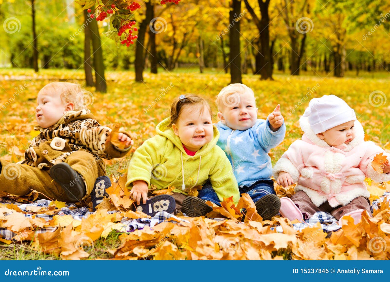 Babies group stock photo. Image of four, laughing, curious - 15237846