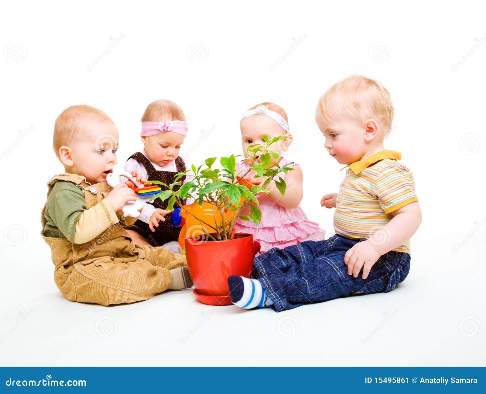 Babies group stock image. Image of happy, interested - 15495861