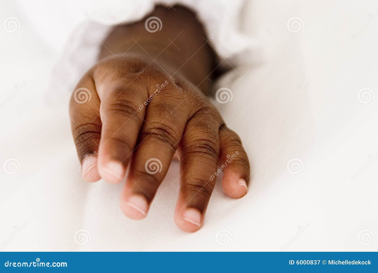 Babies hand stock image. Image of caucasian, palm, babys - 6000837