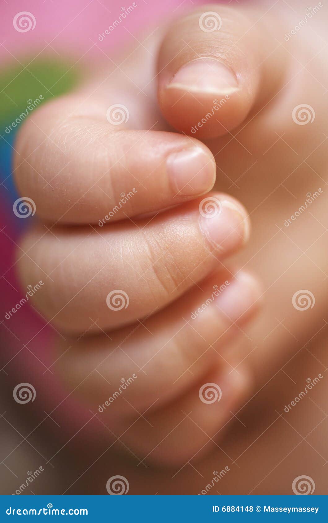 Babies hand stock photo. Image of child, baby, finger - 6884148