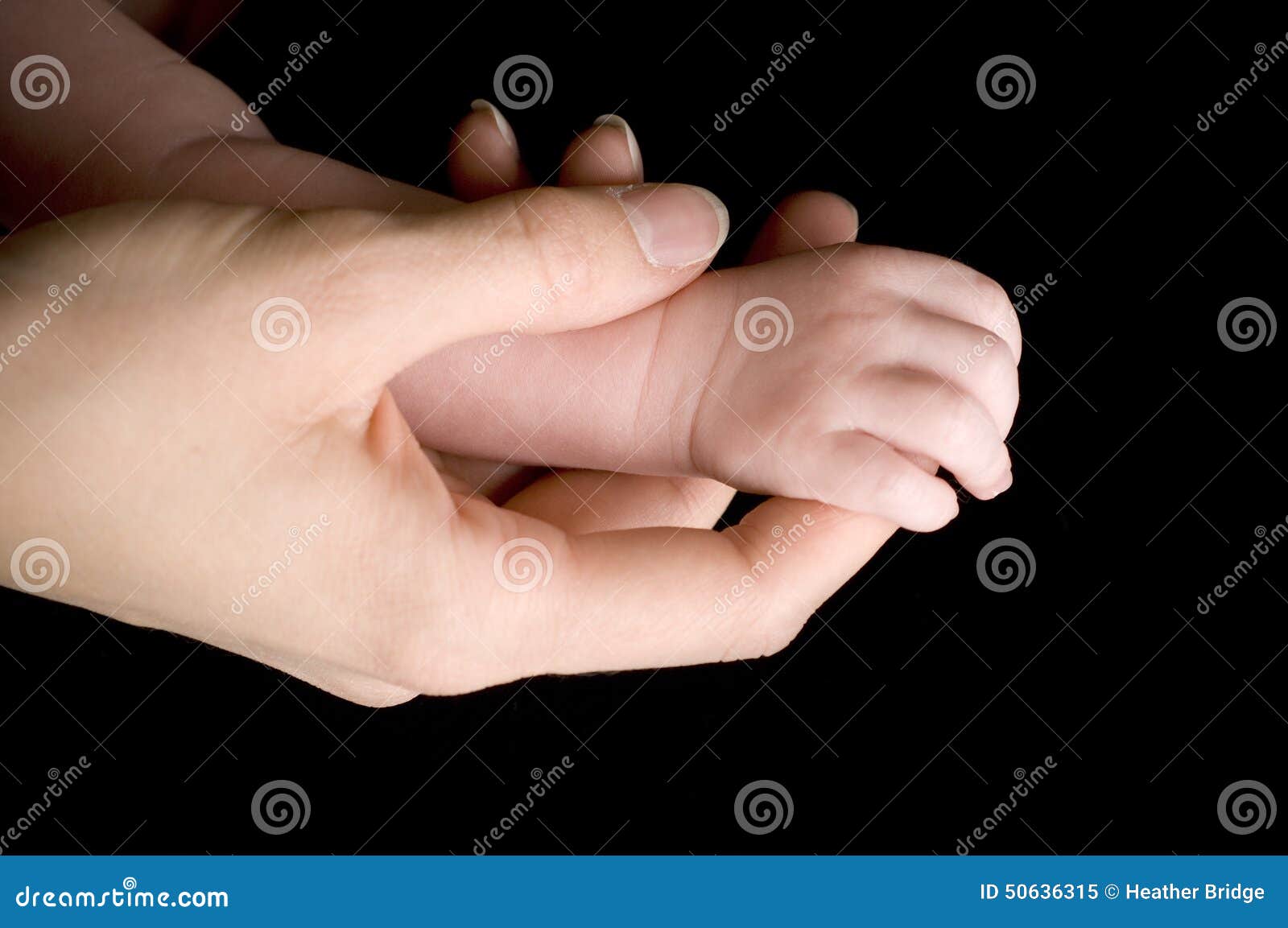 Babies Hand stock image. Image of baby, child, babyhand - 50636315