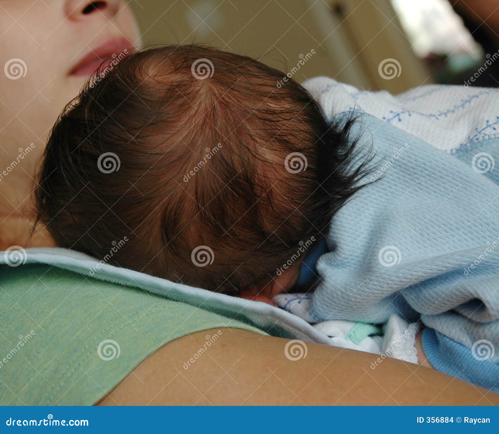 Babies head stock photo. Image of crawler, dumpling, babe - 356884