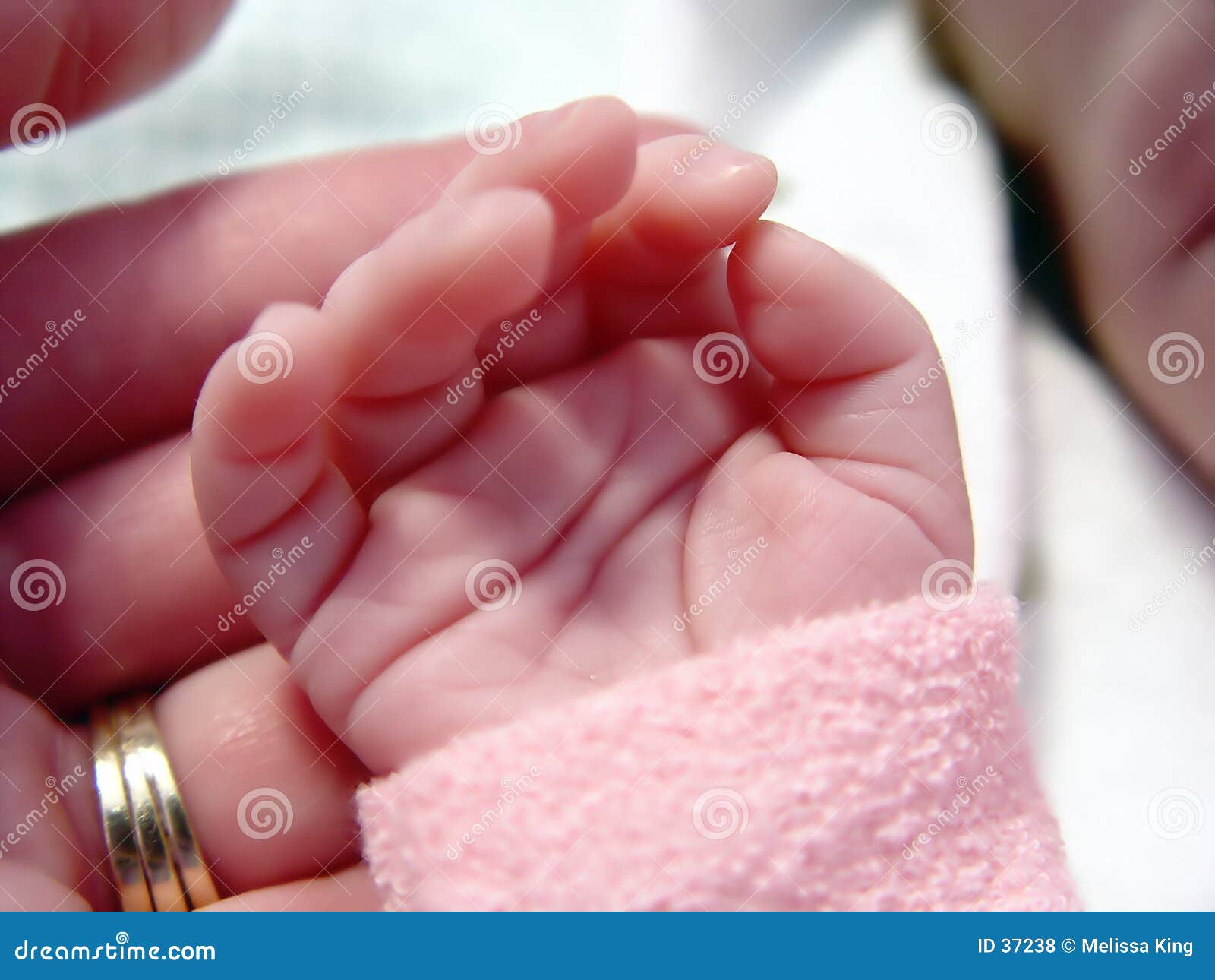 Baby s Little Hand stock photo. Image of hand, exposed, infant - 37238